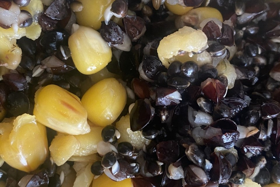 Hemp, Maize & Buckwheat – Jurassic Particles